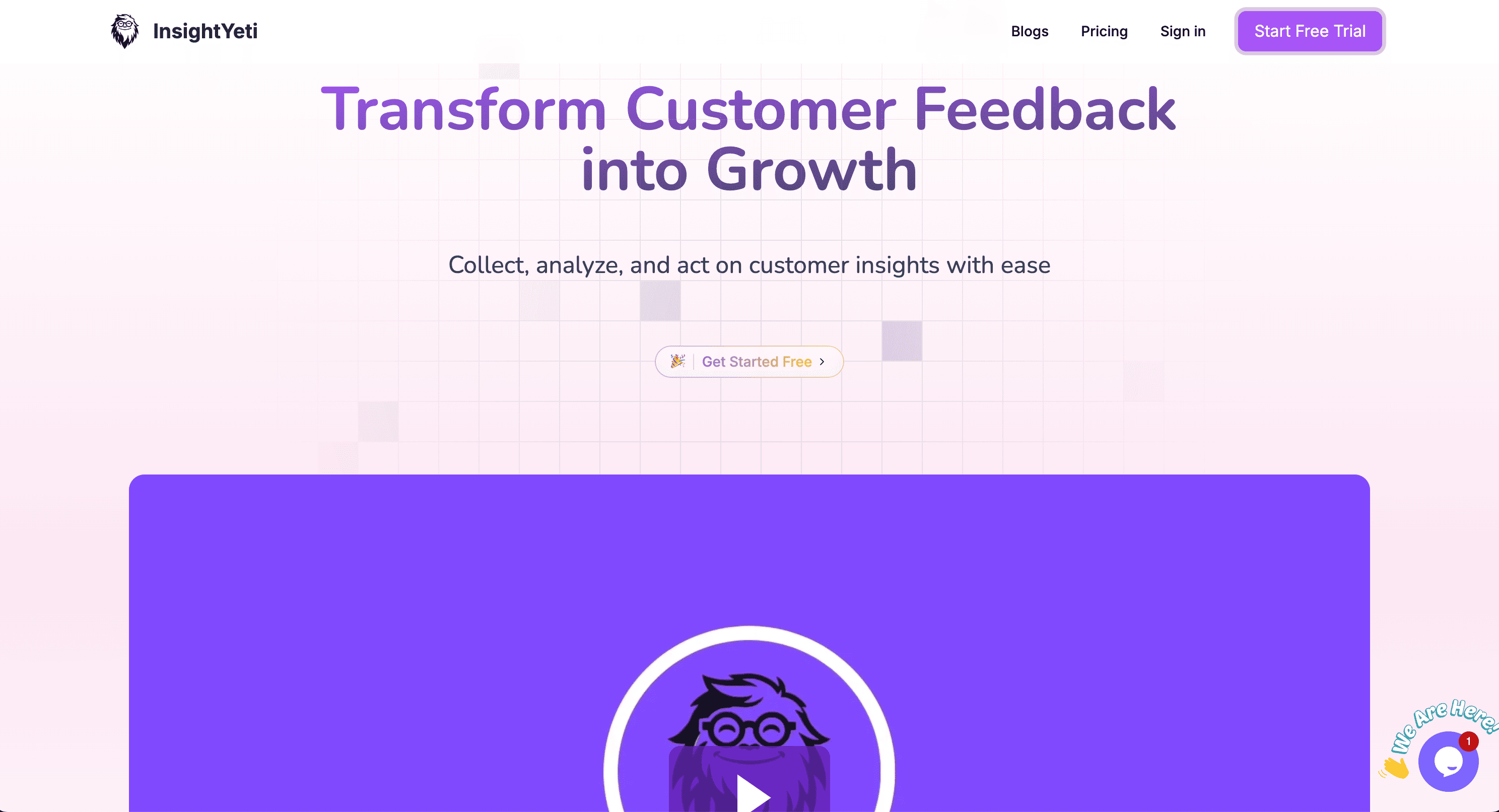 InsightYeti - Collect, Analyze, and Act on Customer Feedback